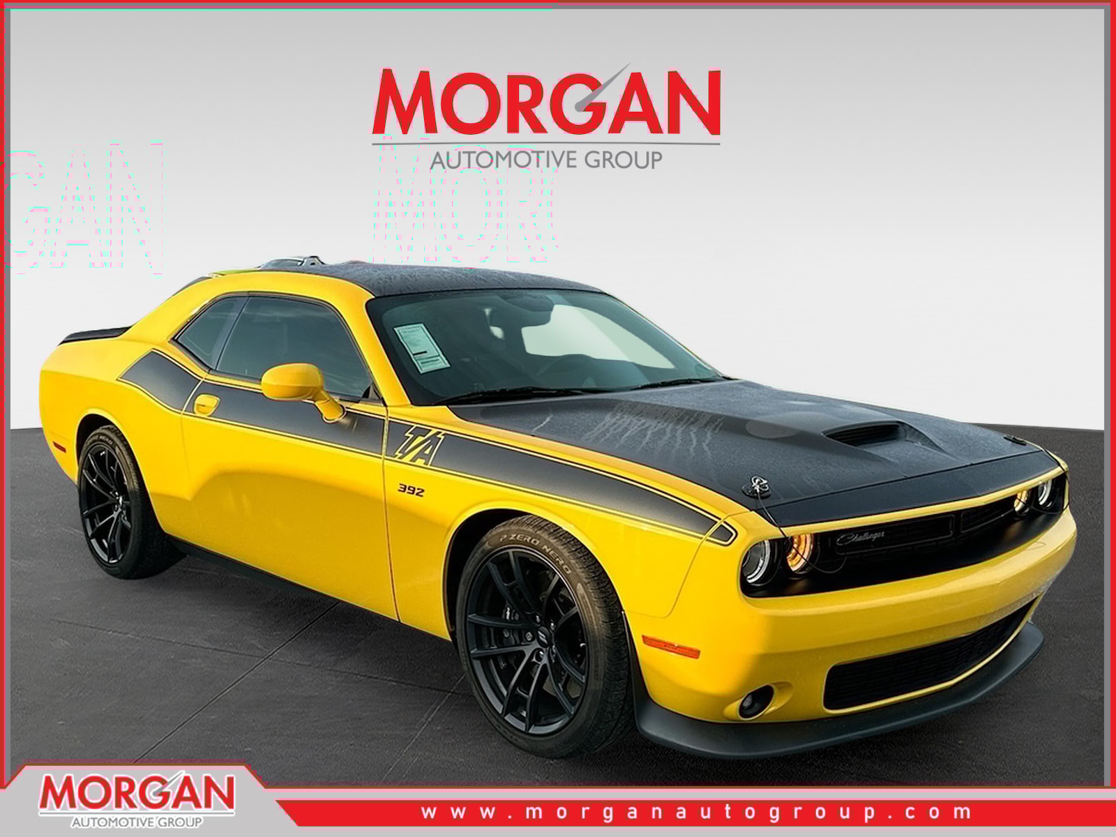 Dodge Yellow Jacket Logo